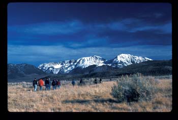 12.114 Field Study Image Gallery - The field area.